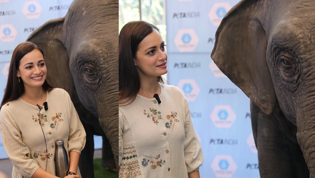 "I voiced Ellie to help children like mine consider the life of a ...